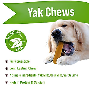 Buck Bone Organics Yak Cheese Chews for Dogs, All Natural Himalayan Yak Chew, Long Lasting Pet Treats, Odor Free, with Limited Ingredients (1 Large Stick)