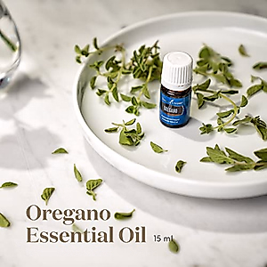 Young Living Oregano Essential Oil 15 ml Bottle - Natural Immune Support and Cleansing - 100% Pure and Potent - Strengthen the Energy Centers of the Body