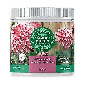 GG Power Bloom, 500 Gram