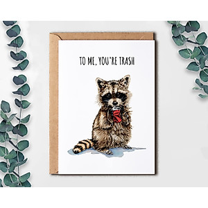 EruditeGifts To Me You're Trash - Funny Birthday Card - Birthday Card For Friend - Birthday Card For Him Or Her - Toronto Card - Funny Raccoon Card