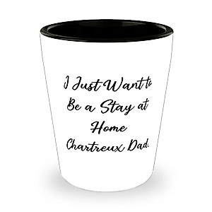 I Just Want to Be a Stay at Home Chartreux Dad. Shot Glass, Chartreux Cat Ceramic Cup, Sarcasm For Chartreux Cat