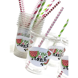 One in a Melon Cups - Watermelon 1st First Birthday Party Supplies and Favors