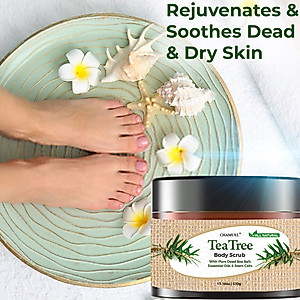 Chamuel Tea Tree Body & Foot Scrub - 100% Natural Exfoliating Body Scrub with Dead Sea Salt, Plant-based Stem Cells, Ginger & Essential Oils– Rejuvenates & Soothes Dead & Dry Skin (15.1oz)