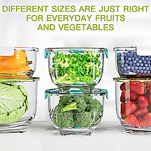 LUXEAR Fresh Produce Vegetable Fruit Storage Containers 3Piece Set, BPA-free Fridge Storage Container, Partitioned Salad Container, Fridge Organizers, Used in Storing Fruits Vegetables Meat Fresh Fish