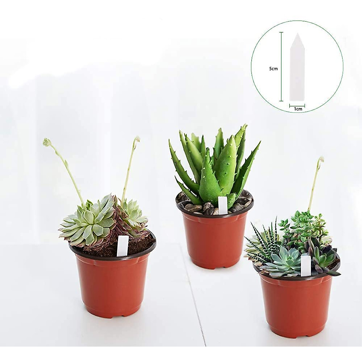 JERIA 100-Pack 4 Inch Plastic Plant Nursery Pots Come with 100 Pcs Plant Labels, Seedling Flower Plant Container and Seed Starting Pots