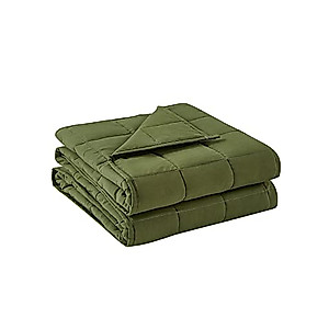 BB BlinBlin Weighted Blanket Heavy Blanket for Cool & Restful Sleep, Premium Soft Material and Glass Beads (Veridian Green, 60''x80'' 25lbs), Suit for One Person(~240lb) Use on Queen/King Bed