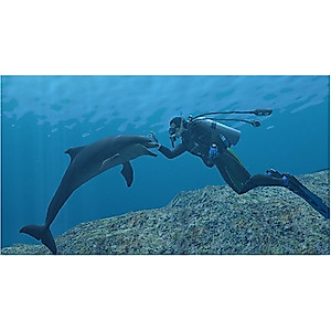 Endless Ocean: Dive, Discover, Dream (Renewed)