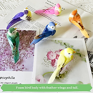 LWINGFLYER 12pcs Clip on Artificial Simulation Foam Feather Birds 3.5in Mini Love Birds for Craft Home Ornaments Garden Wedding Decoration Embellishing (Clip)