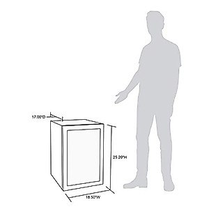 NewAir Beverage Refrigerator Cooler with 90 Can Capacity - Mini Bar Beer Fridge with Right Hinge Glass Door - Cools to 34F - AB-850 - Stainless Steel (Renewed)