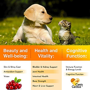 Liquid Multivitamin for Dogs & Cats - Herbal Flavor | Canis&Cattus