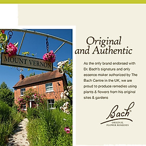 Bach Original Flower Remedies, White Chestnut for Calming Repetitive Thoughts (Non-Alcohol Formula), Natural Homeopathic Flower Essence, Holistic Wellness, Vegan, 10mL Dropper