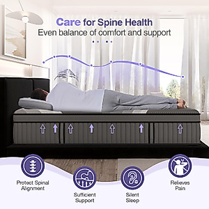Lechepus Queen Mattress, 14Inch Plush Soft Memory Foam Hybrid Mattress, Queen Size Memory Foam with Pocket Spring Mattresses, Supportive Mattress in Box for Pressure Relief, CertiPUR-US, 10 Years