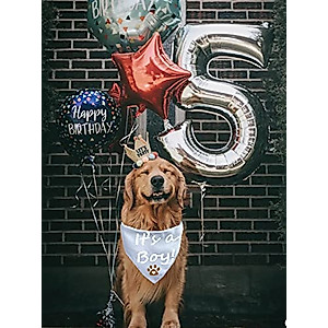 Waghaw Gender Reveal Dog Bandana, It's A Girl It's A Boy Dog Bandana Gender Reveal Bandana for Small Medium Large (Small (Pack of 1), Blue)