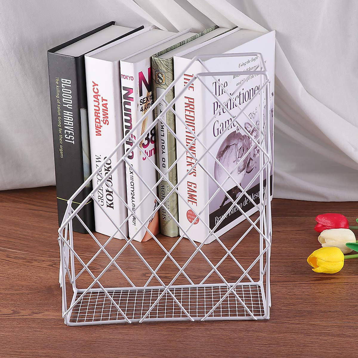 NUOBESTY Bookshelf for Office File Racks for Desktop Magazine File Holder Jewelry Organizer Hanger Desktop Organizer Magazine Stand Desk Accessories Storage Book Shelf White