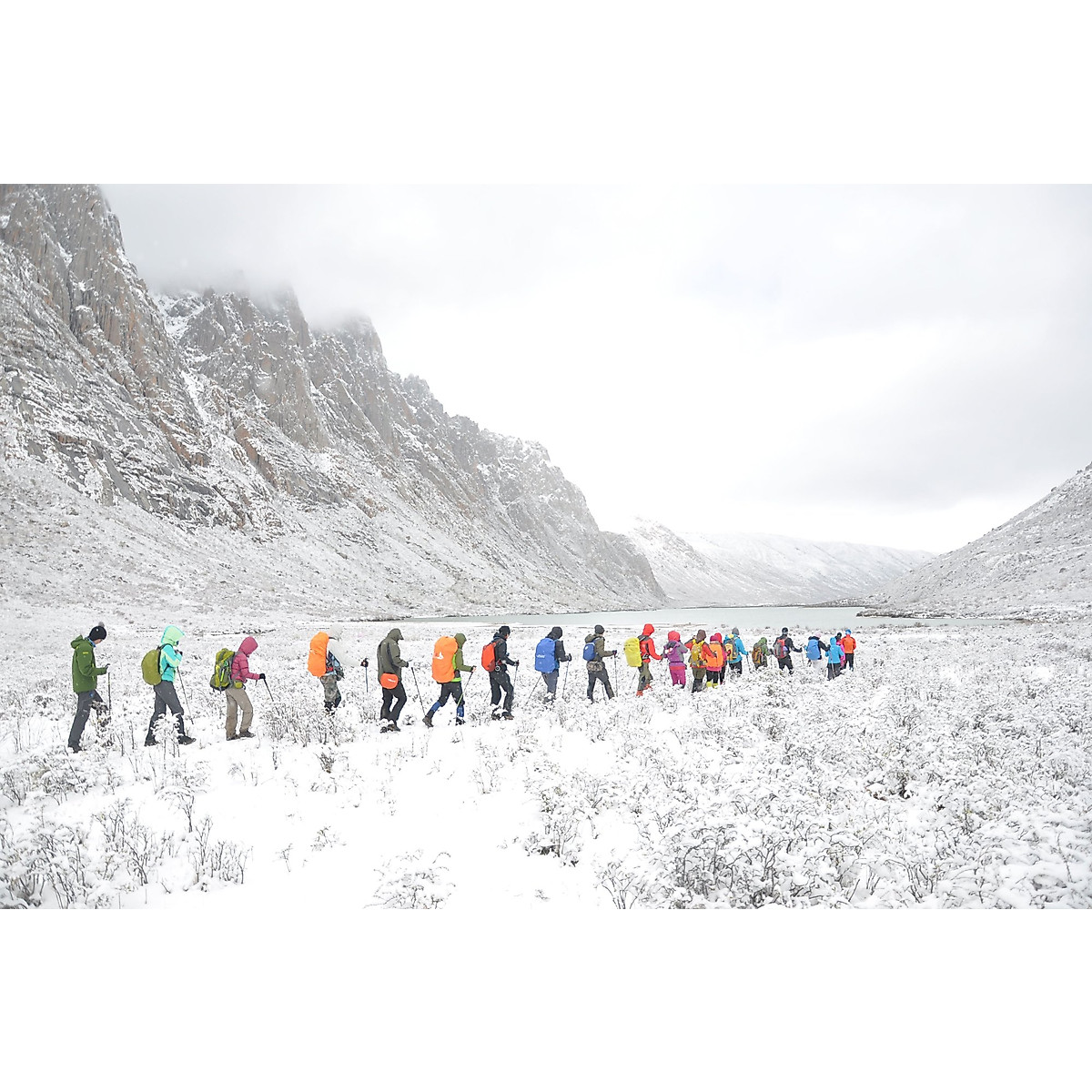 MBC Carbon Fiber Trekking Pole 4 Section Quick Lock System Ultralight Walking Sticks for Hiking Walking and Camping