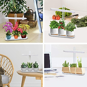 GoGrow LED Plant Light for Indoor Plants, New Generation Desk Grow Light with Timer, Grow Lamp Full Spectrum UV Grow Lights