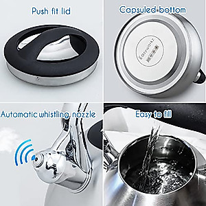 Easyworkz Whistling Stovetop Tea Kettle Food Grade Stainless Steel Hot Water Tea Pot With Loud Whistle,3.1 Quart(3.0l)