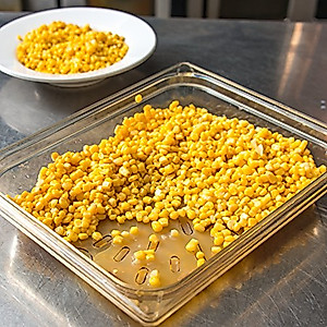 Carlisle FoodService Products 1043513 StorPlus High Heat Drain Shelf, Half Size, Amber