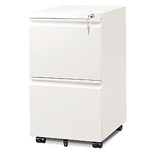 DEVAISE 2-Drawer Mobile File Cabinet with Lock, Commercial Vertical Cabinet, White