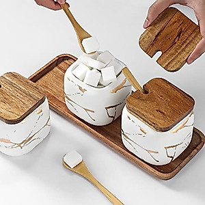 VETIN 3 Pcs Sugar Salt Container Set Containers for Sugar and Coffee Sugar Container Marble Jar Set Sugar Bowl Sugar Jar with Spoon and Lid