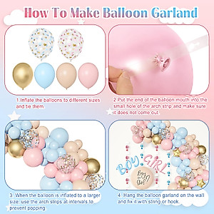 Ouddy Party Gender Reveal Decorations, Pastel Pink and Blue Nude Confetti Balloons Arch Kit Star Hanging Cloud Garland Paper Tassels He or She Boy or Girl Gender Reveal Baby Shower Party Supplies