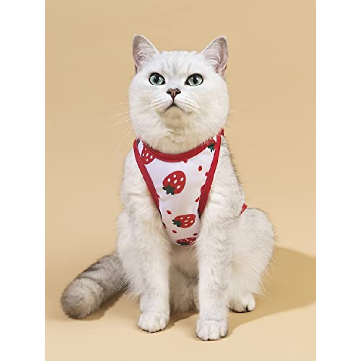 QWINEE Cute Dog Tank Top Fruit Strawberry Print Cat Puppy Shirt Breathable Lightweight Pet Vest Small Medium Large Dogs Cats Kitten Clothes Red B S