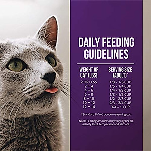 Fussie Cat Market Fresh Quail & Duck Meal Formula Grain-Free Dry Cat Food 4lb