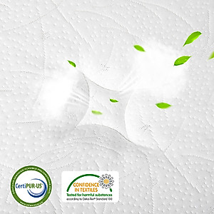 TeQsli 10 Queen Mattress