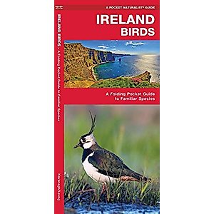 Ireland Birds: A Folding Pocket Guide to Familiar Species (Nature Observation International)