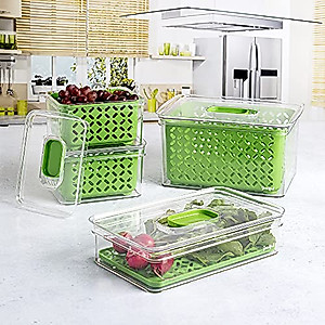 Goodful Produce Keeper, Adjustable Air Vents, Removable Insert/Colander, Durable Food Safe Material, Stackable, Clear and Green, Small, 7.6" x 5.6" x 4.2", Two Pack