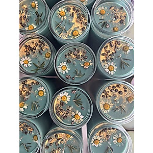 Money Drawing Prayer Coconut Spell Candle | Prosperity, Abundance, Cash Flow Boost, Financial Security, | Wiccan, Pagan, Hoodoo, Magick Rituals