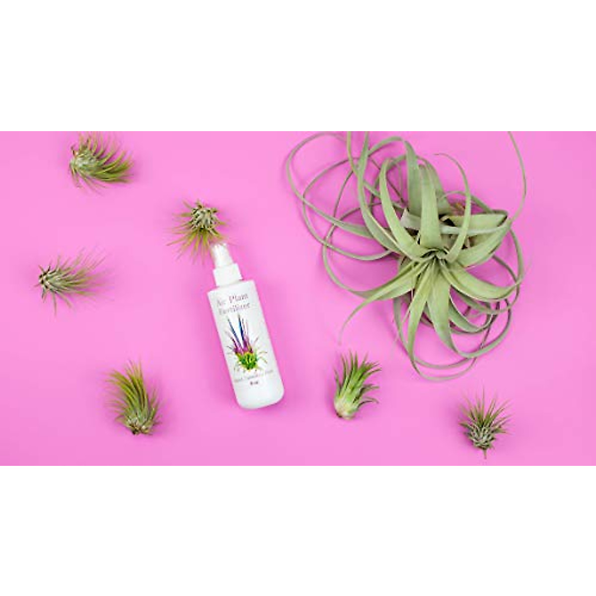 Tillandsia Air Plant Food | Fertilizer Kit with Spray Bottle and Mister | Encourages Air Plants to Bloom with Formulated Nutrients by Aquatic Arts
