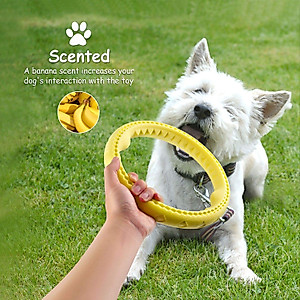 Fluffy Paws Dog Chewing Ring - Soft Rubber Ring Dental Chewing Teething Biting Chasing Training Toy for Small and Medium Dog Puppy - 10", Yellow