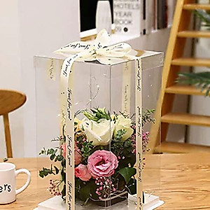 SOLUSTRE 2pcs Cake Stand Suitcase Disposable Containers Cake Holder with Lid Clear Containers with Lids Birthday Cake Packaging Packing Box Paper Cup Cake Box Heighten Dessert