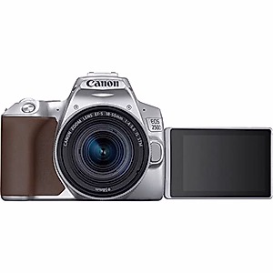 Canon EOS 250D / Rebel SL3 DSLR Camera with 18-55mm Lens (Silver) (3461C001) + 64GB Memory Card + Color Filter Kit + Filter Kit + LPE17 Battery + External Charger + Card Reader + More (Renewed)
