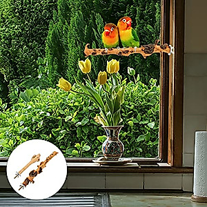 PATKAW Natural Wood Parrot Perch 2pcs Bird Wood Stand Branches Bird Cage Hanging Perch Bird Wooden Chew Toy for Pet Bird Cage Hammock Climbing Toy