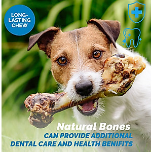 123 Treats - Meaty Dog Bone Treat - Large 100% Natural Pork Chews for Dogs Dog Bones for Aggressive Chewers (Pork, 2 Count)