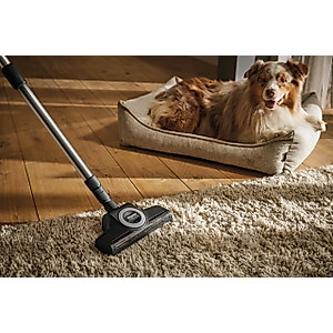 Miele TurboTeQ Turbo Brush STB 305-3, Attachable Floorhead for Effortless Vacuuming of Low-Medium Pile Carpet Black 28cm x 28cm