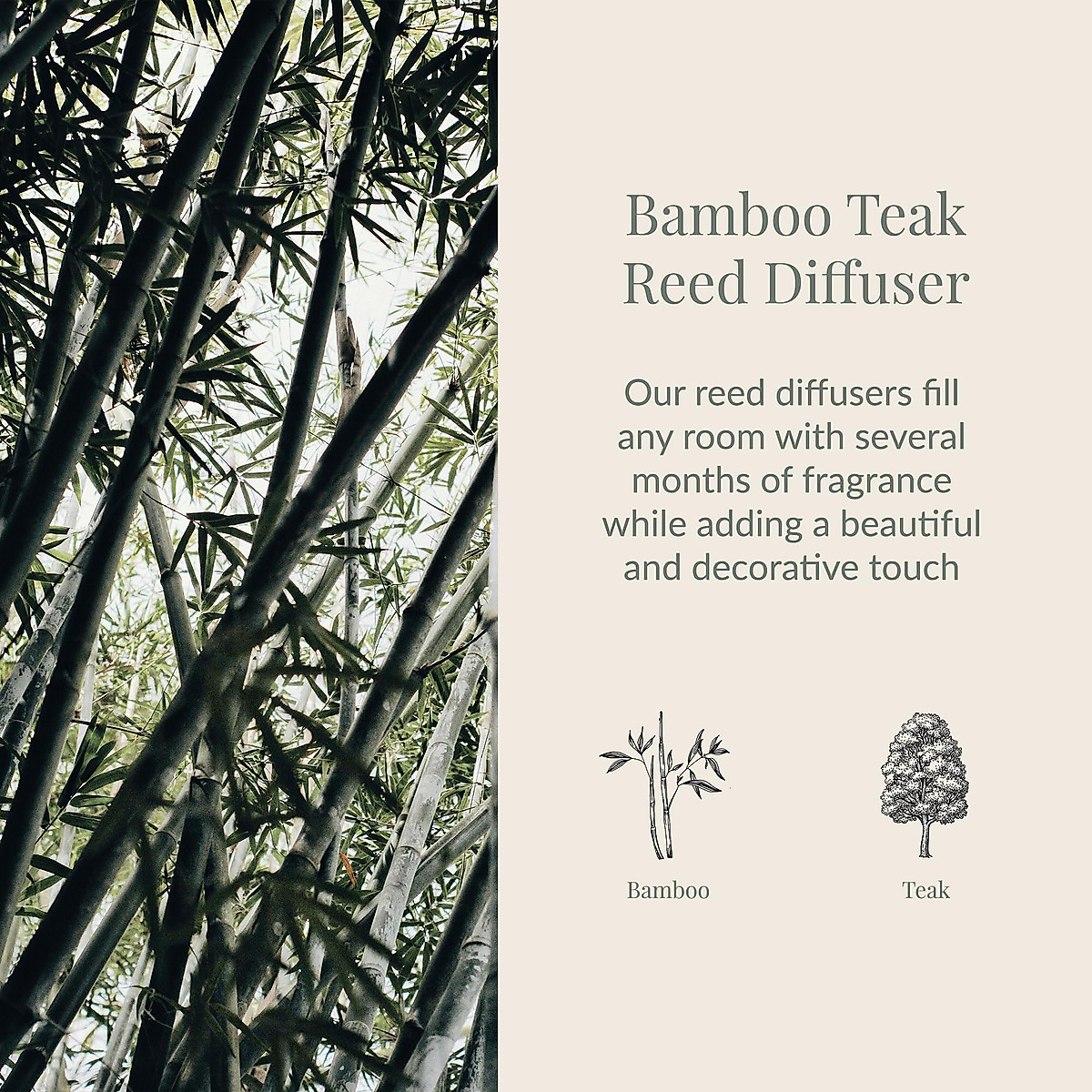 Archipelago Botanicals Mango Tangerine Reed Diffuser, Home Fragrance Reed Diffuser, Includes Fragrance Oil, Decorative Wooden Cap & 10 Diffuser Reeds, Perfect for Home, Office or Gift, 7.85 fl oz