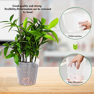 UPINS Clear Nursery Pots 40 Packs 3/4/5/6 Inches Plant Pots with Drainage Hole Seedling Transparent Plastic Gardening Pots Durable Seed Starter Pots Reusable for Plants Vegetables