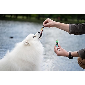 Kōrure Pets Dog Hip and Joint Care, Green Lipped Mussel Oil, for Joint Health, Joint Flexibility, Mobility Support, Made in New Zealand, 0.3 Fl Oz / 1 Fl Oz (9ml/ 0.3 Fl Oz)