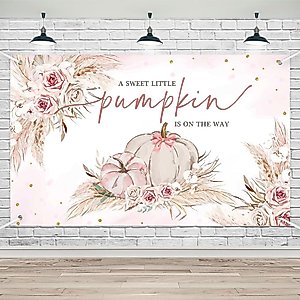 Lofaris Pumpkin Baby Shower Banner for Girl - 'A Little Pumpkin is On Her Way,' Boho Fall Pink Floral Backdrop with Autumn Pumpkin and Pampas Grass, 70.8x43.3 Inch Party Decorations