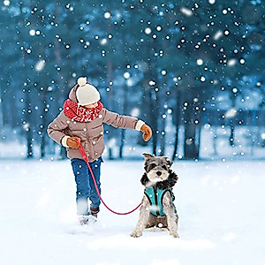 AIMYDOG Dog Winter Hoodie, Warm Cozy Dog Coat with Pockets, Waterproof Windproof Harness Dog Jacket, Thick Polar Fleece Pet Vest, Reflective & Adjustable Blue Dog Apparel for Small Medium Dogs & Cats