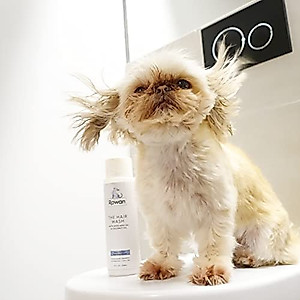 ROWAN - Natural Hair Wash | Clean, Non-Toxic Coat Care for Dogs (12 fl oz | 355 mL)