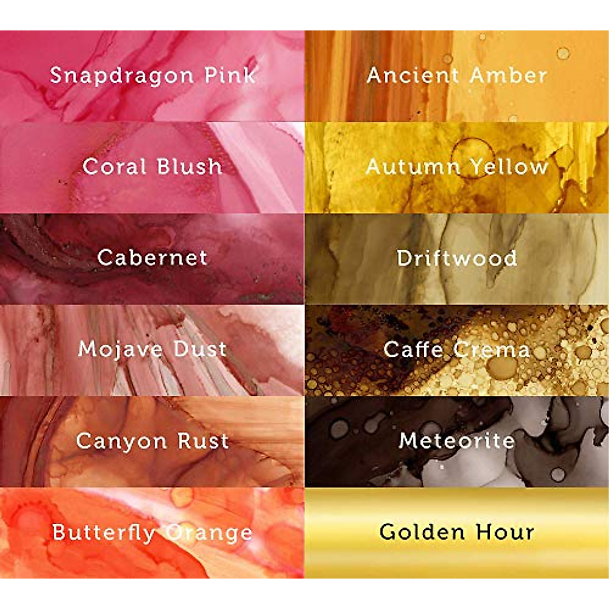 T-Rex Inks Premium Alcohol Inks Warm Earth Set- 12 Warm Tone Colors - Alcohol Ink for Epoxy Resin Dye, Painting, Tumbler Making & More - Includes Storage Box & Metallic Gold Ink - 20ml Bottles