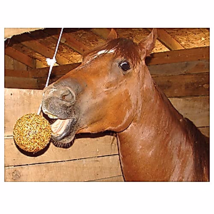 Uncle Jimmys 2 Pack Of Hanging Ball Apple Flavored Treats For Horses, 3 Pound Each