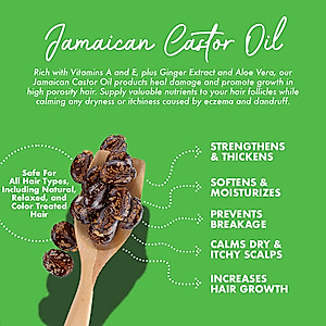 Urban Hydration Jamaican Castor Oil Shampoo and Detangler | Sulfate, Paraben and Dye Free, Cleanses, Hydrates and Repairs Damage for Soft, Strong and Shiny Hair, All Hair Types, 16.9 Fl Ounces