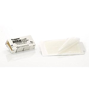 Bell Labs Full CASE of Trapper Max Free Mouse Glue Boards (72 Boards), White (TX2672)