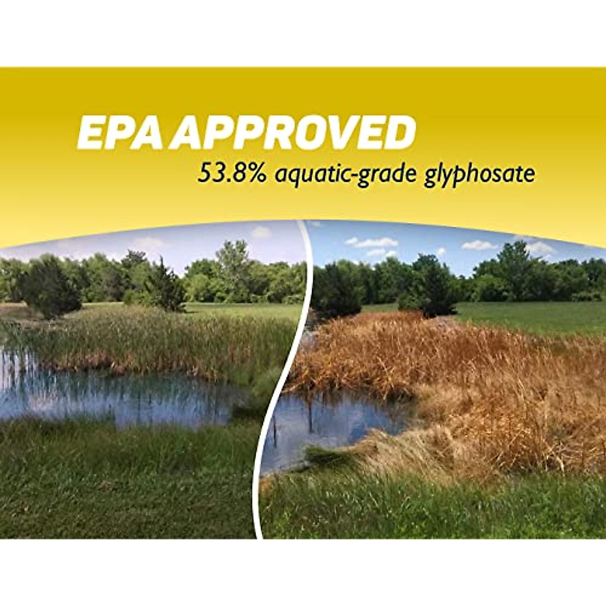 Sanco Industries Catt Plex Herbicide - Aquatic Grade - Works on Cattails, Pond Weeds, Water Lilies, Grass - One Quart 32oz