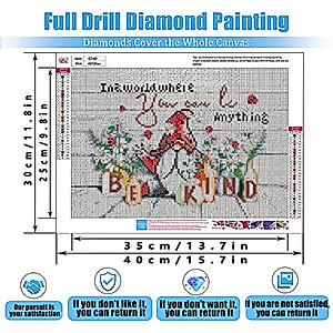 eniref 5D Diamond Painting Kits for Adults Paint with Diamonds Full Round Drill 5D Diamond Dots Craft Diamond Art Kits - for Home Wall Decor and Adults Kids DIY Gift(Gnome 16 X 12 inch)